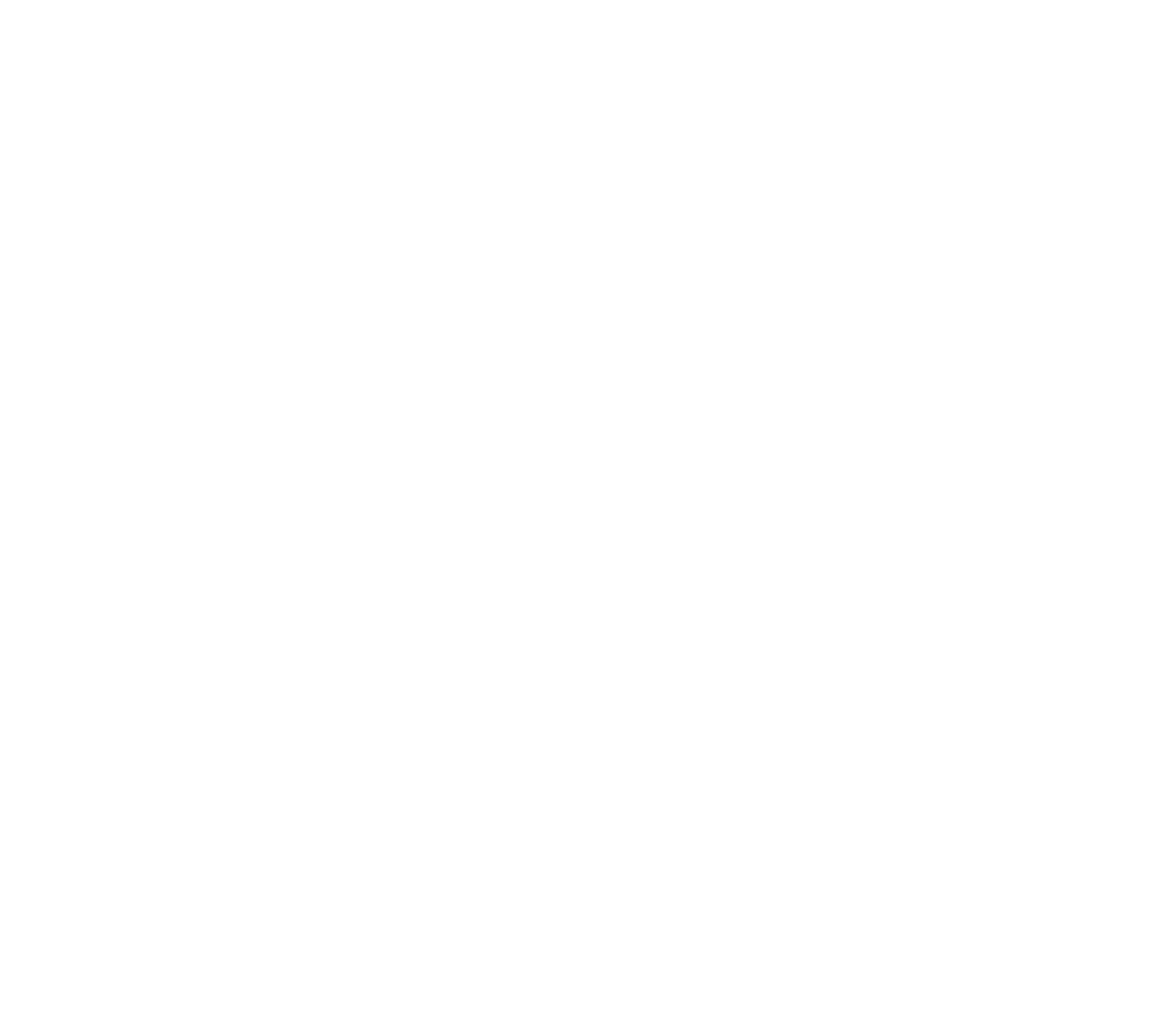 Formazione, Ricerca e Innovazione - RFL Academy